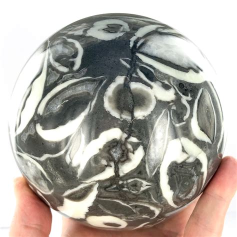 shell fossil sphere no 7 110mm sacred earth crystals