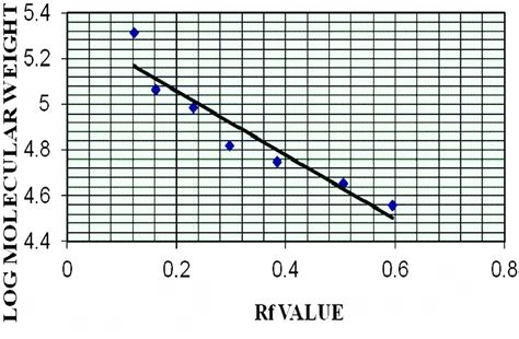 standard linear regression curve between rf values and standard protein