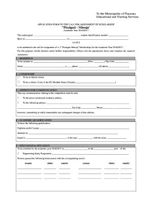 Fillable Online Polo Piacenza Polimi Application Form To The Call For