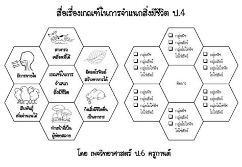 คลังสื่อการสอน ใบงานการจำแนกสิ่งมีชีวิต ป 4