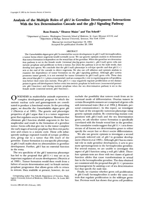 Pdf Analysis Of The Multiple Roles Of Gld 1 In Germline Development Interactions With The Sex