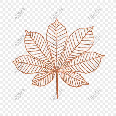 가을 손으로 그려진 된 추적 메이플 리프 선 초안 배경 질감 Png