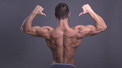 How To Do The Reverse Biceps Curl For Absolutely Massive Arms BarBend