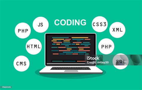 Vetores De Programação Conceito De Desenvolvimento Web Código No Laptop