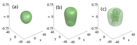 Isosurface Representation Of A Three Dimensional Lb At Which The Download Scientific Diagram