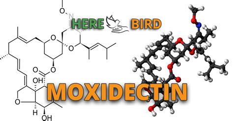 Moxidectin Plus: Worming Medication for Chickens and Pet Birds