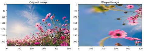 Scikit Image Warping An Image