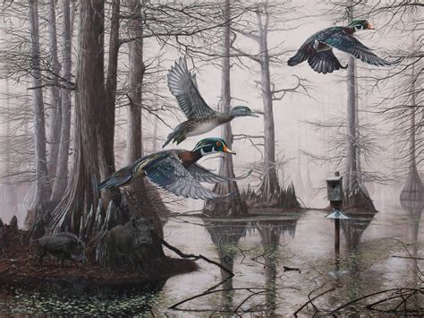 Wood Duck Art Hogs Painting Print 2016 Arkansas Ducks Unlimited Cypress