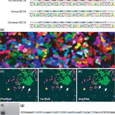 Vector Color Codes At Collection Of Vector Color Codes Free For Personal Use