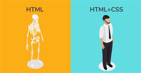 اچ تی ام ال یا سی اس اس؟ بررسی تفاوت و مزیت‌ها آکادمی Rm1