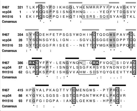 Sequence Alignment For Model Building Sequence Numbers Correspond To