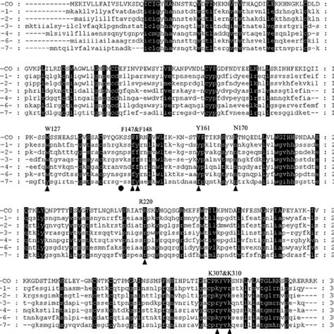Sequence Alignment Of Ha1 From 16 Different Ha Subtypes For Space Download Scientific Diagram