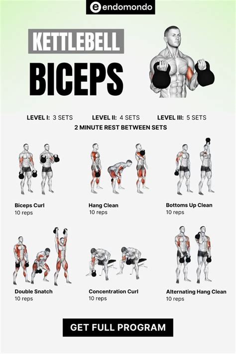 Transform Your Arms With This Ultimate Bicep Workout In 2024