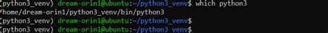 Virtual Env Picking Up Global Pytorch Version In Jetson Pytorch Forums