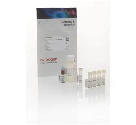 Qubit Rna High Sensitivity Hs Broad Range Br And Extended Range Xr Assay Kits Q32852 At