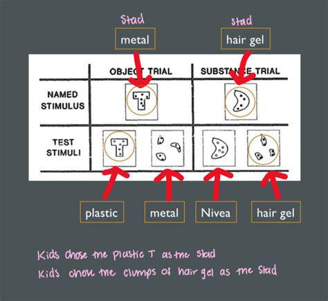 Ling 203 Midterm Lexical Acquisition Part I Ii Flashcards Quizlet