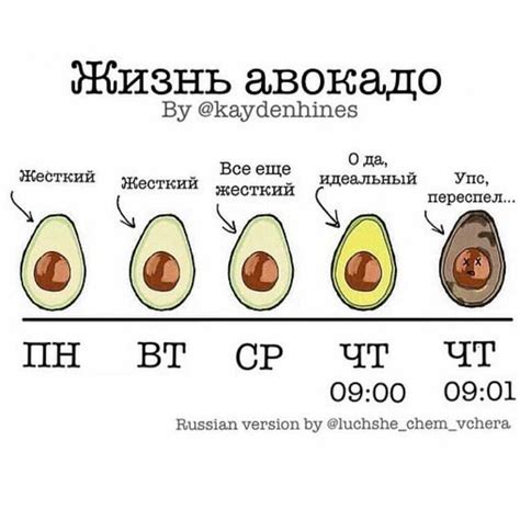 Правильное Питание Для Похудения Меню