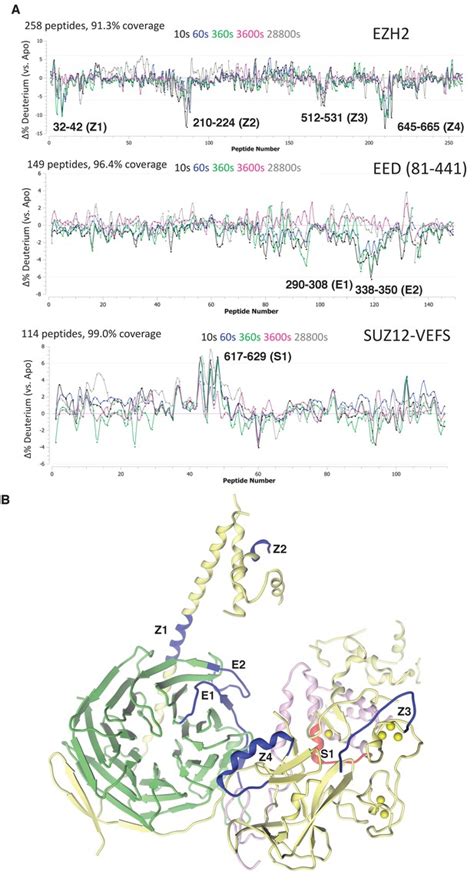Conserved Rna Binding Specificity Of Polycomb Repressive Complex 2 Is Achieved By Dispersed
