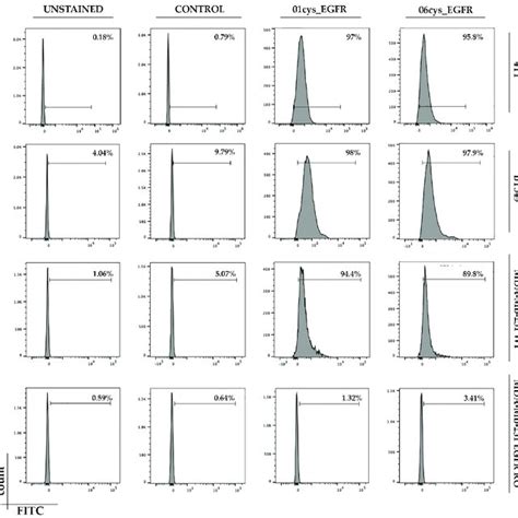 Binding Assay Of Peptides To Tnbc Cells Cells Were Incubated With Download Scientific Diagram
