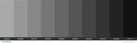 Shades Of Dark Grey A9a9a9 Hex Color A9a9a9 989898 Colorswall