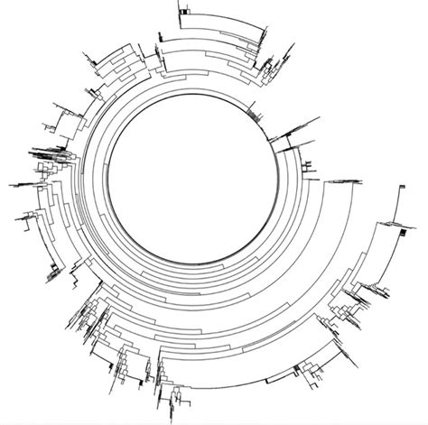 Learning The Basics Of Phylogenetic Analysis Everyday Is A School Day