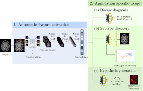 Three Application Scenarios For Deep Learning In Neuroimaging Based Download Scientific Diagram