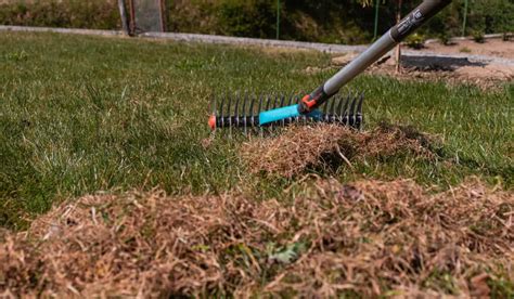 14 Types Of Rakes And When To Use Them Crate And Basket