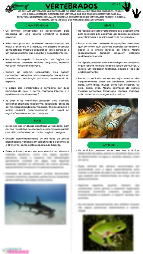 Solution Vertebrados Studypool