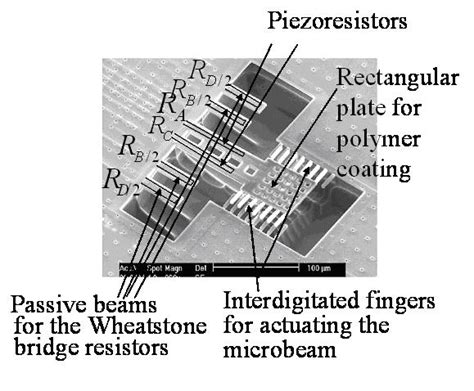 The Institute For Mems And Vlsi Technology