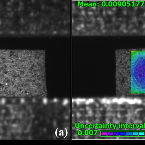 A Speckle Pattern On Prepared Cylindrical Specimen B Region Of
