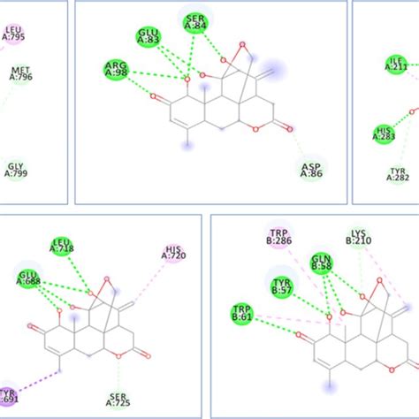 Microscopic Binding Of The Highest Scoring Compound To Amino Acid Download Scientific Diagram