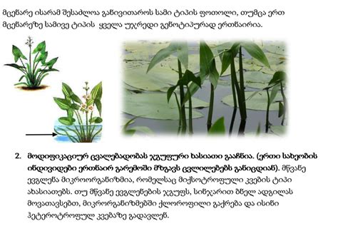 მე ვარ აბიტურიენტი