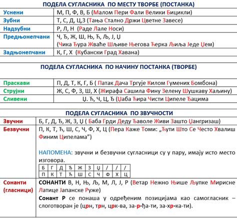 Подела сугласника српски језик и књижевност Учимо Српски Rs