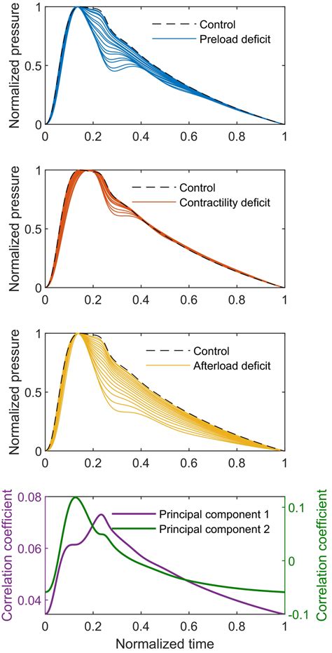 Arterial Waveforms Of A Simulated 60yearold Adult Top Three Download Scientific Diagram