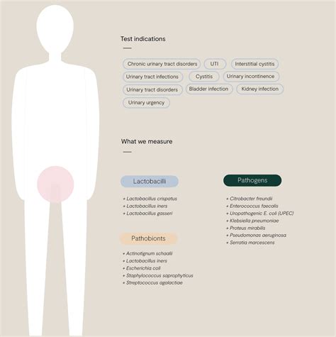 Urinary Tract Infections Tests And Treatment Purehealth Clinic