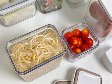 로이첸 진공 밀폐용기 세트 추천 전자레인지 사용 가능한 냉장고정리 용기 아이바큠 네이버 블로그