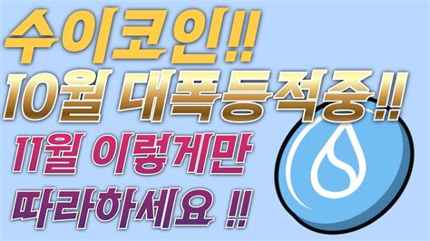 수이코인 11월 상승시나리오 가보자 Youtube