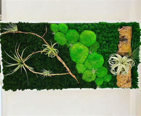 Стабилизированный мох в интерьере (140 фото) - фото - картинки и ...