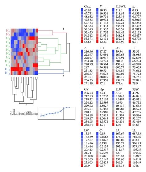Dendrogram Analysis Based On Two Way Hierarchal Clustering Association