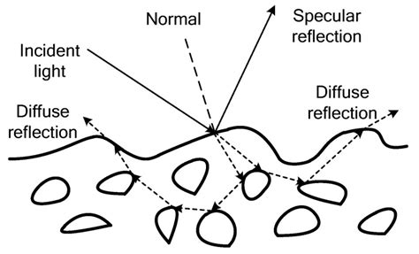 Three Dimensional Measurement For Specular Reflection Surface Based On Reflection Component