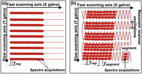 Schematic Drawing Of Three Dimensional Scanning Protocols Used To Download Scientific Diagram