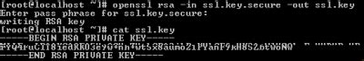How To Decrypt An Enrypted Ssl Rsa Private Key Pem Key Tech Journey