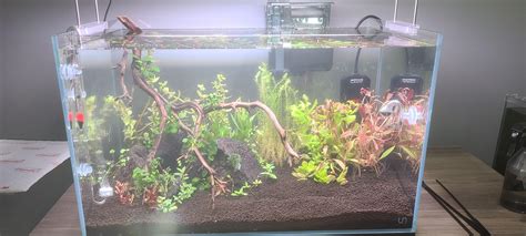 Optimal Co2 Diffuser Placement Rplantedtank