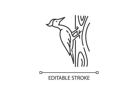 Woodpecker Pixel Perfect Linear Icon Masterbundles