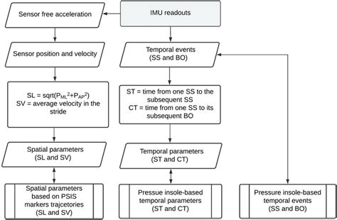 Flowchart Of The Measurement Of Temporal And Spatial Parameters Of Ice Download Scientific