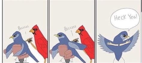 Thanks I Hate Bird Tattoos Rtihi