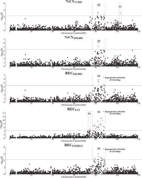 Manhattan Plot Of Logp Values For The Genome Wide Association