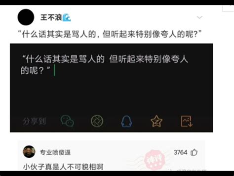 什么话其实是骂人的但听起来特别像夸人呢 哔哩哔哩