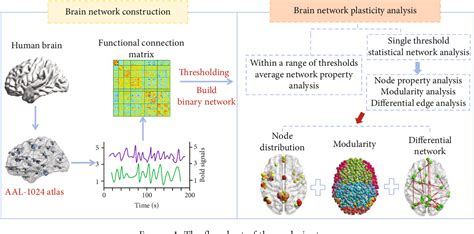 Figure 1 From Resting State Fmri Whole Brain Network Function Plasticity Analysis In Attention