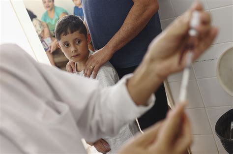 Dengue Is Raging In Brazil A Promising Local Vaccine Is At Least A Year Away Science Aaas